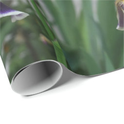 Iris Flower Photo Wrapping Paper | Zazzle