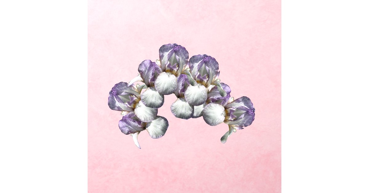 Iris Flowers Wall Decal | Zazzle