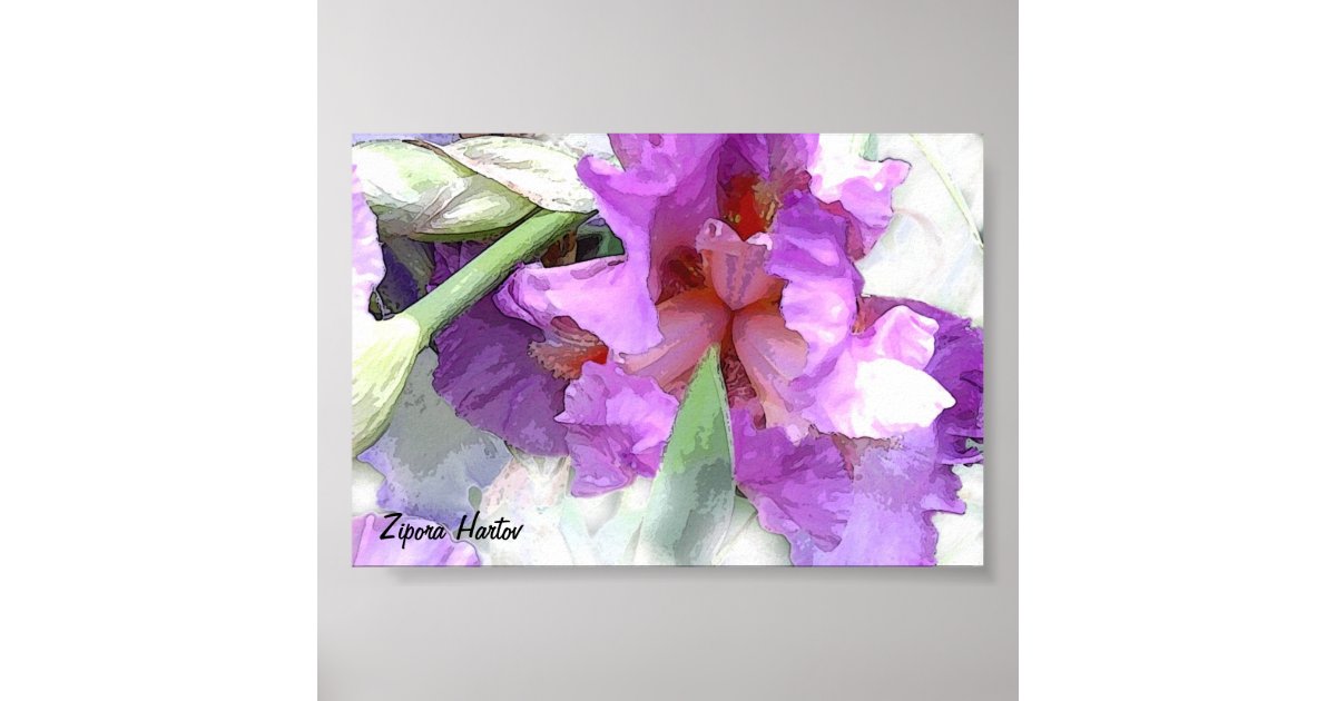 Iris Poster | Zazzle