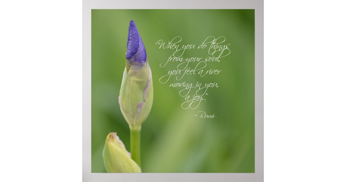 Iris with Quote Poster | Zazzle
