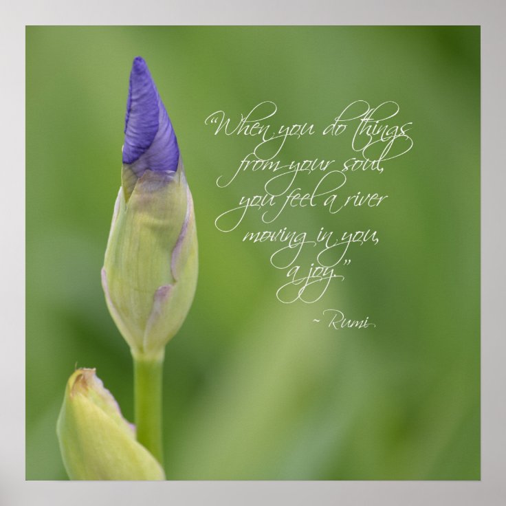 Iris with Quote Poster | Zazzle