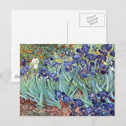 Irises by Vincent van Gogh 1898 Postcard | Zazzle