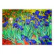 Irises by Vincent Van Gogh Photo Print | Zazzle