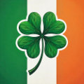 Irish Car Flag | Zazzle