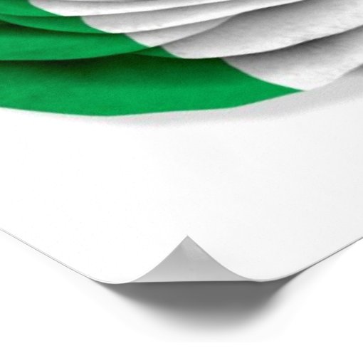 Irish Rose Flag on White Poster | Zazzle