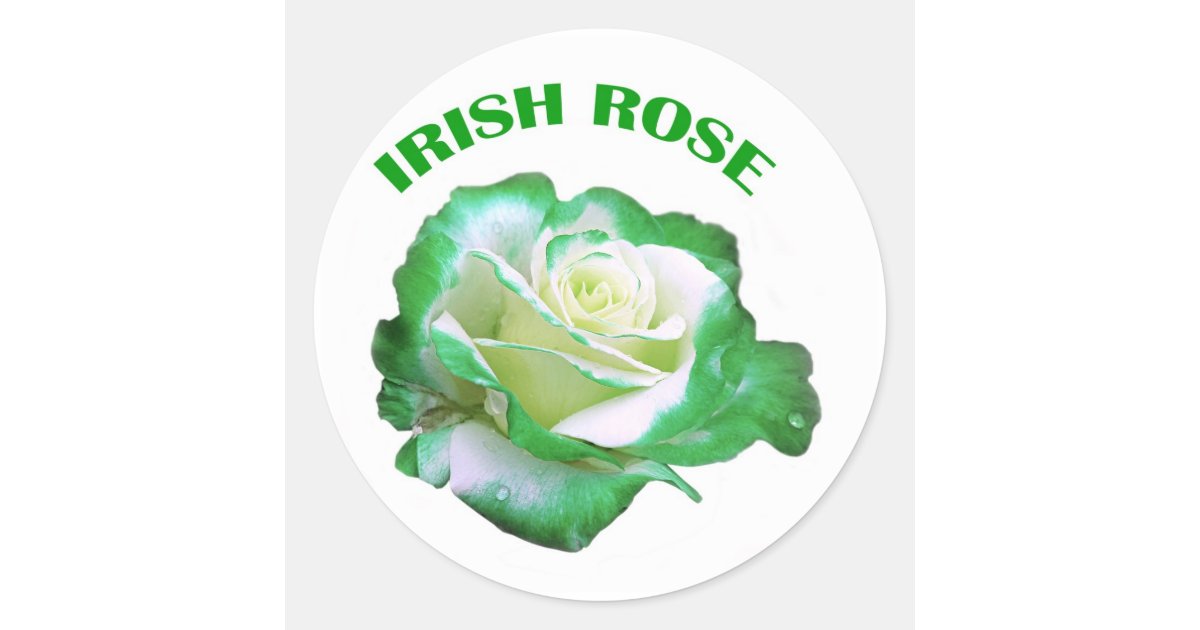 Irish Rose sticker | Zazzle