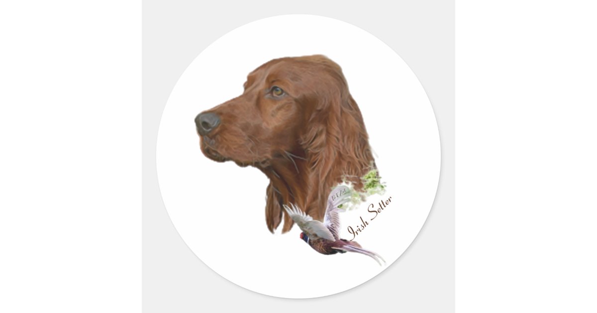 Irish Setter Classic Round Sticker | Zazzle