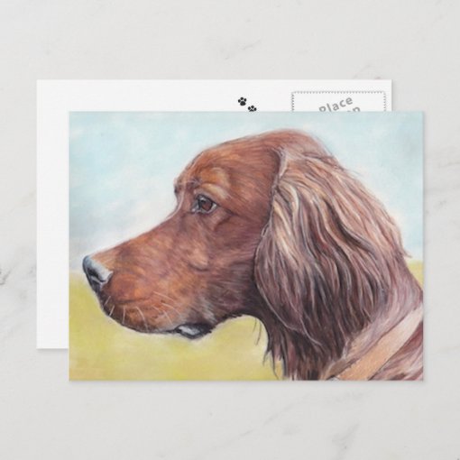 Irish Setter Dog Art Postcard | Zazzle