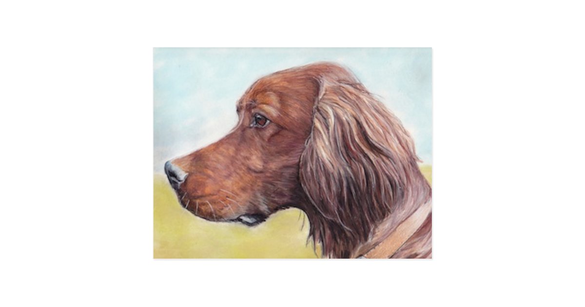 Irish Setter Dog Art Postcard | Zazzle.com