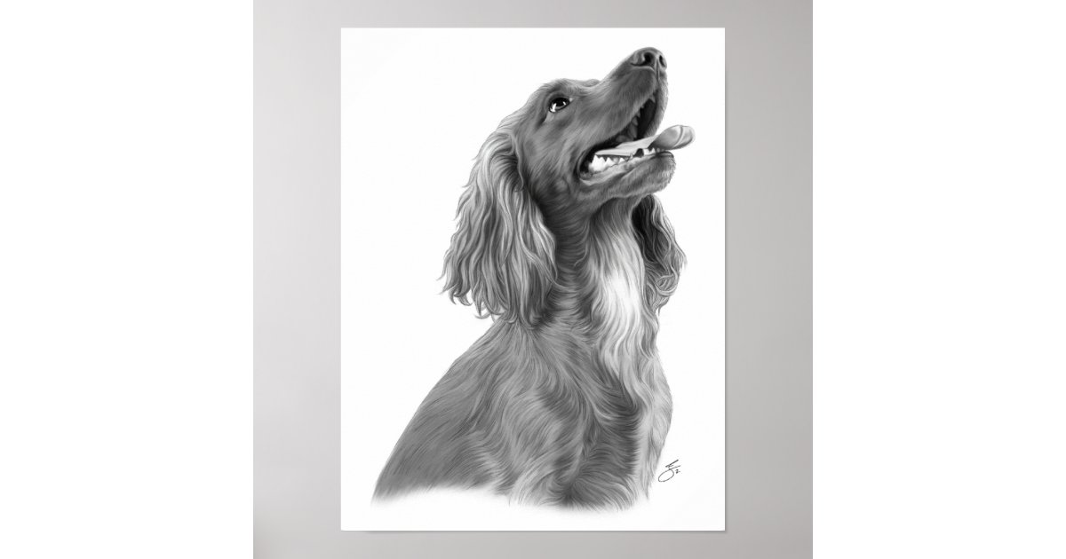 Irish Setter Poster | Zazzle