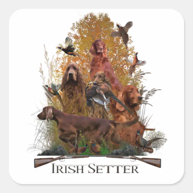Irish Setter with pheasant Square Sticker | Zazzle