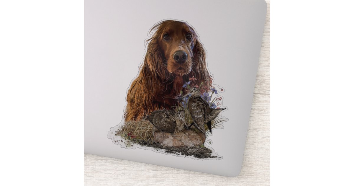 Irish setter with woodcock sticker | Zazzle