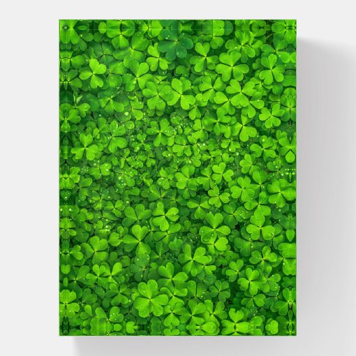 Irish Shamrock Paperweight | Zazzle