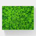 Irish Shamrock Paperweight | Zazzle
