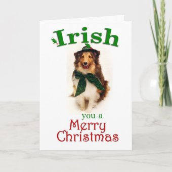 Irish Sheltie Card | Zazzle