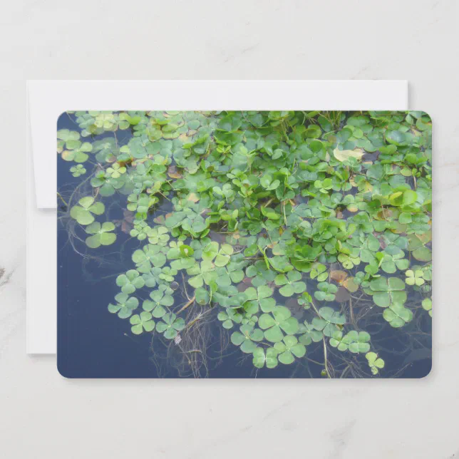 Irish Spring Clover Wedding Invitation | Zazzle