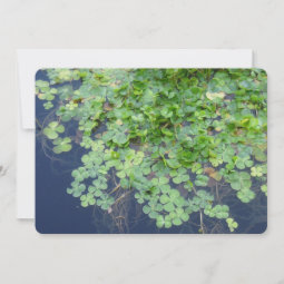 Irish Spring Clover Wedding Invitation | Zazzle