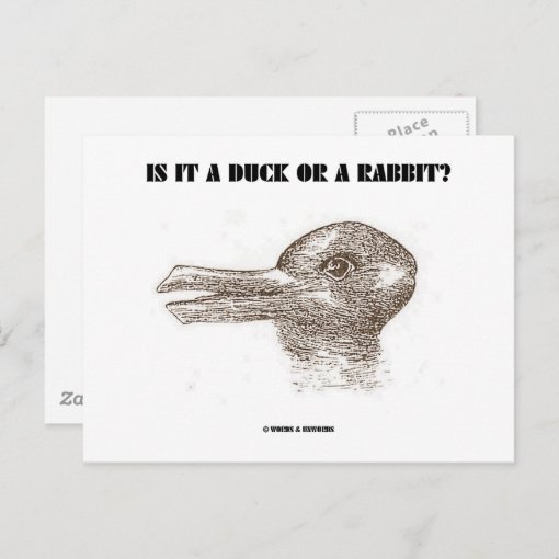Is It A Duck Or A Rabbit? (Optical Illusion) Postcard | Zazzle