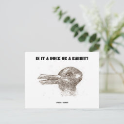 Is It A Duck Or A Rabbit? (Optical Illusion) Postcard | Zazzle