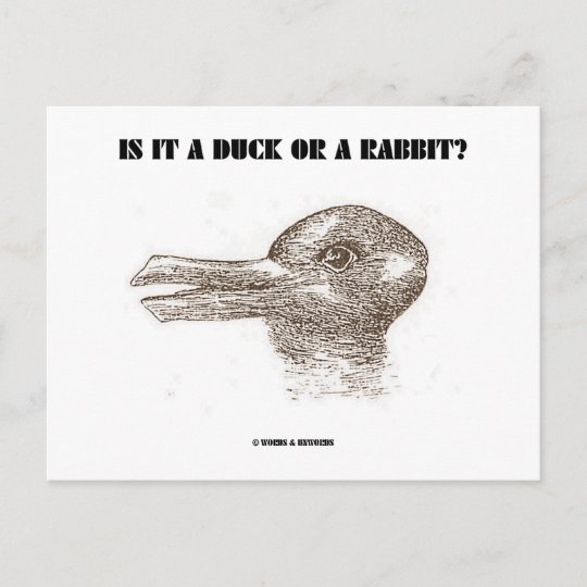 Is It A Duck Or A Rabbit? (Optical Illusion) Postcard | Zazzle.com
