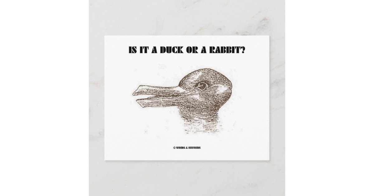 Is It A Duck Or A Rabbit? (Optical Illusion) Postcard | Zazzle