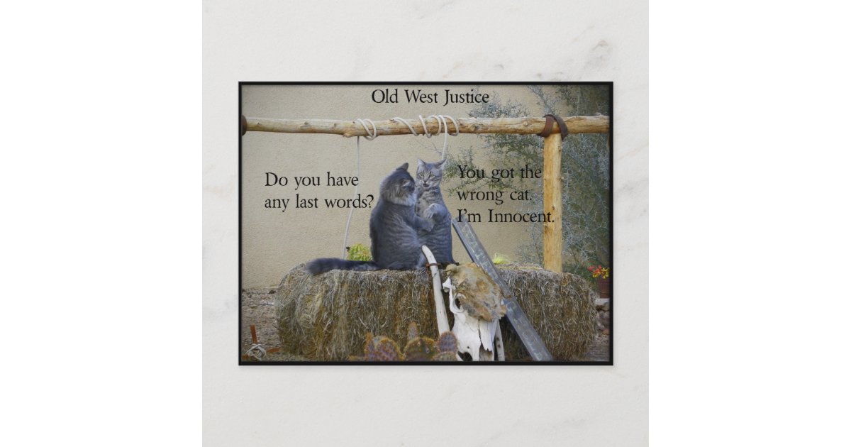 Is One Of The Earp Boys About To Be Hung? Postcard | Zazzle