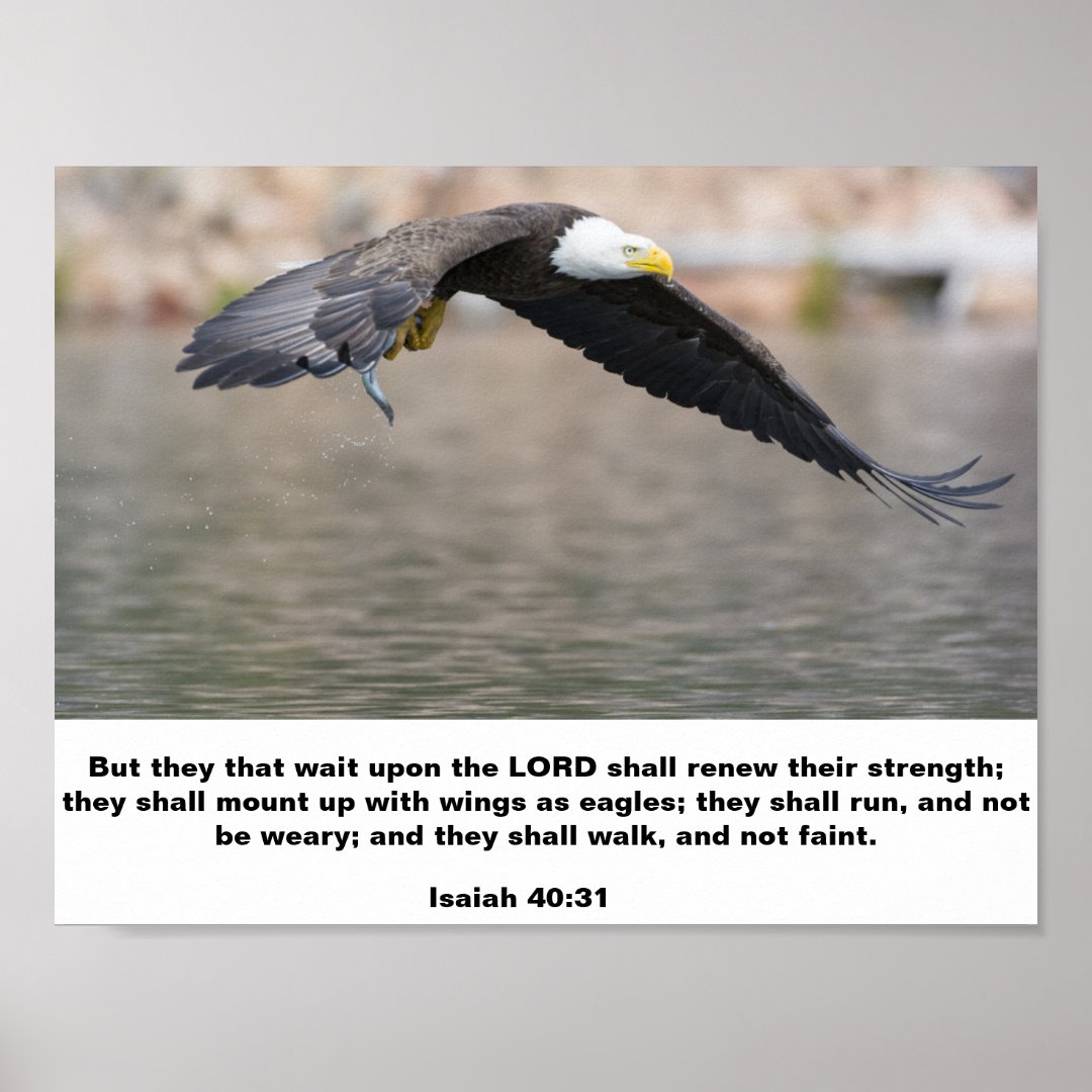 Isaiah 40:31 Mount Up With Wings As Eagles Poster | Zazzle