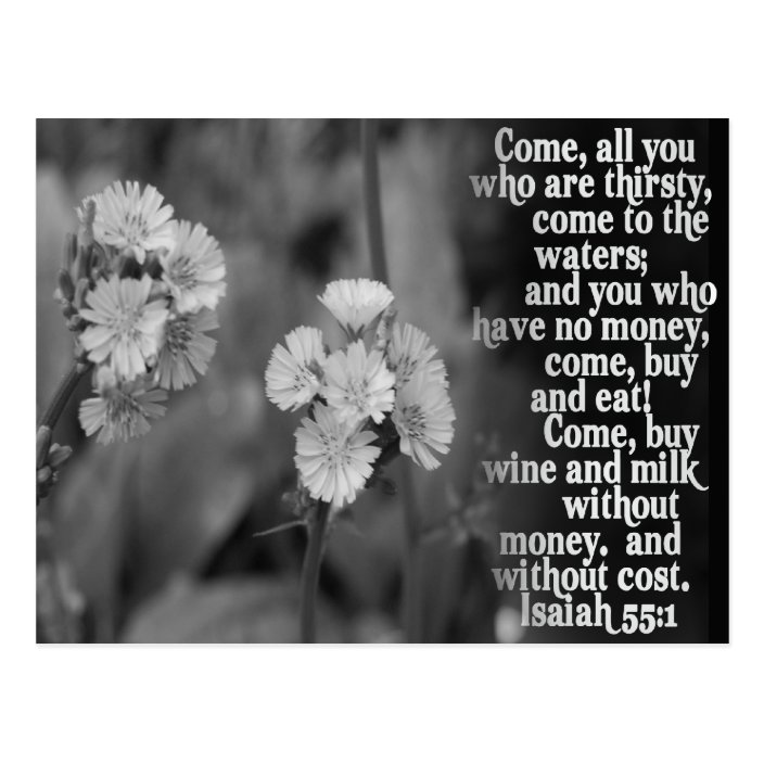 ISAIAH 55:1 BIBLE SCRIPTURE FAVORITE POSTCARD | Zazzle.com