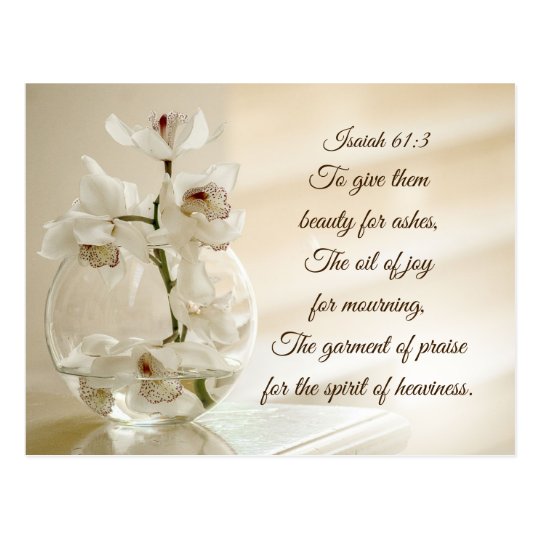 Isaiah 61 3 Beauty For Ashes Bible Verse Orchid Postcard Zazzle
