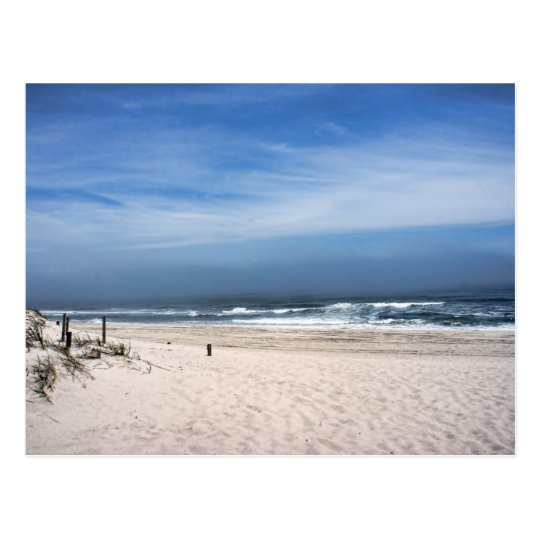 Island Beach State Park - The Swimming Beach Postcard | Zazzle.com
