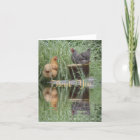 Chicken Hen Farm Animal Thank You | Zazzle.com