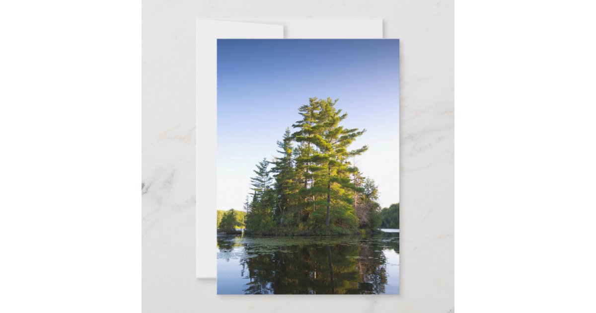 Island on Lake Long Pond Thank You Card | Zazzle