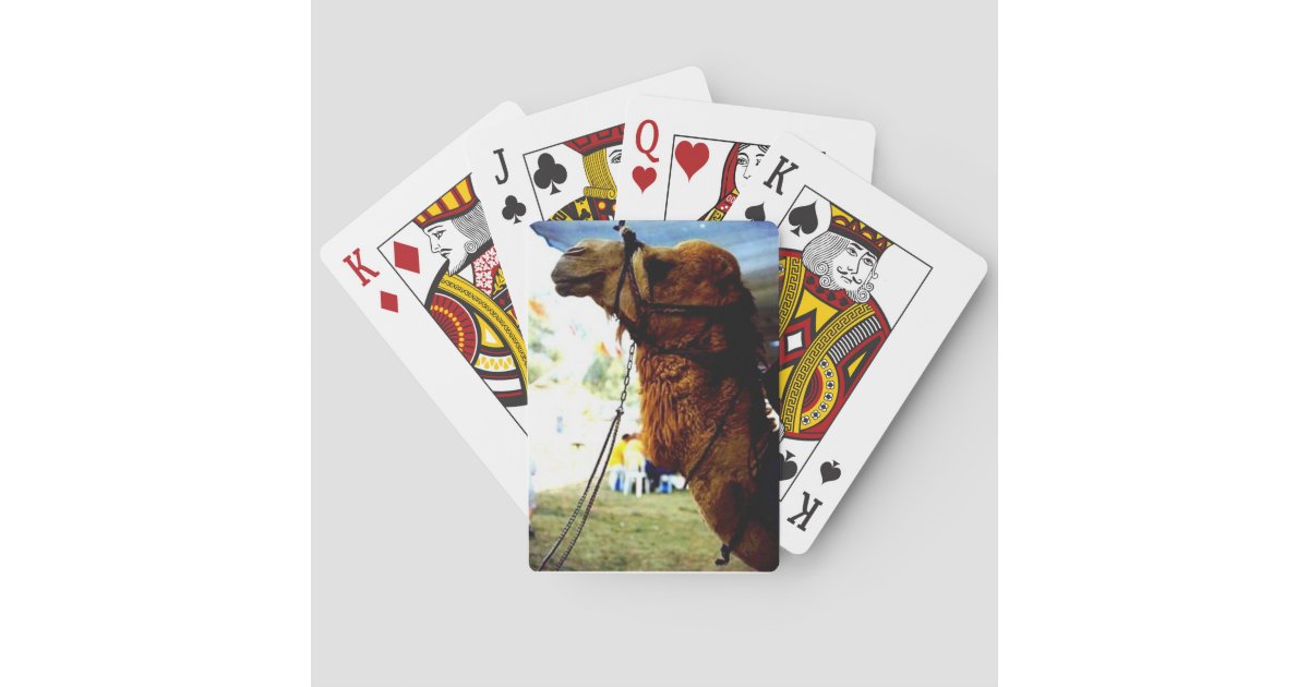 Israeli Camel Playing Cards | Zazzle