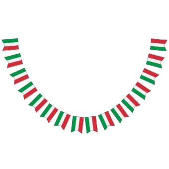 Italian Flag, Party Banner with the Flag of Italy | Zazzle