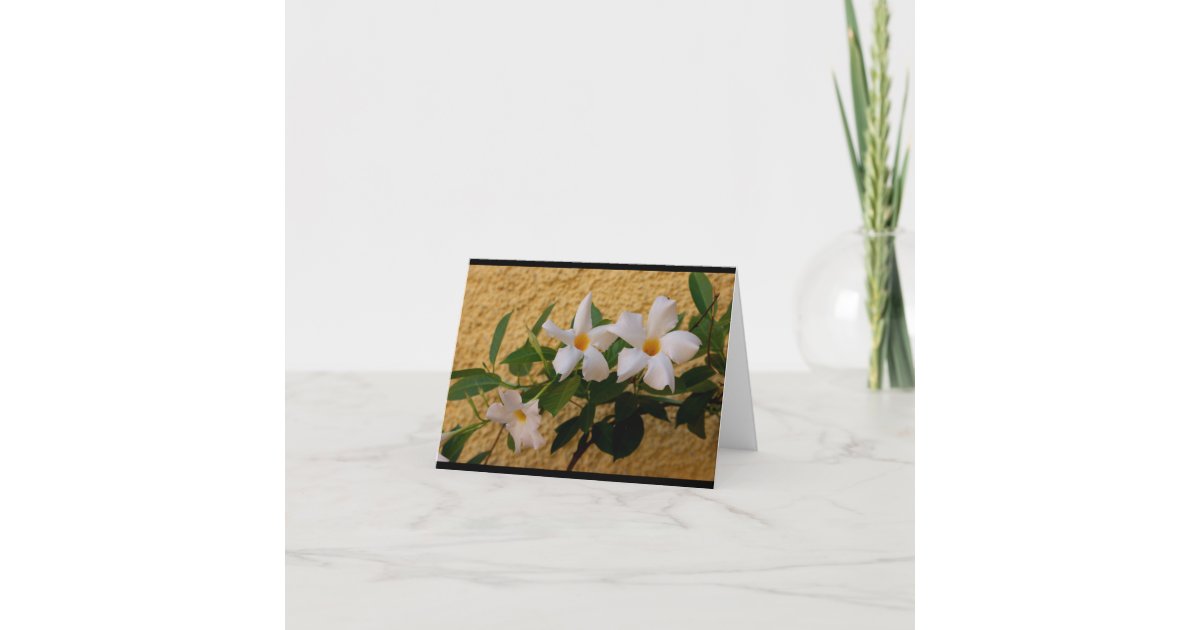Italian Flowers note card | Zazzle