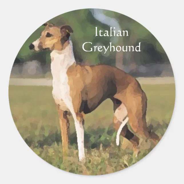 Italian Greyhound Stickers | Zazzle