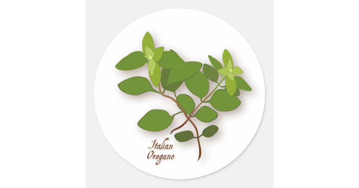 Italian Oregano Round Sticker | Zazzle