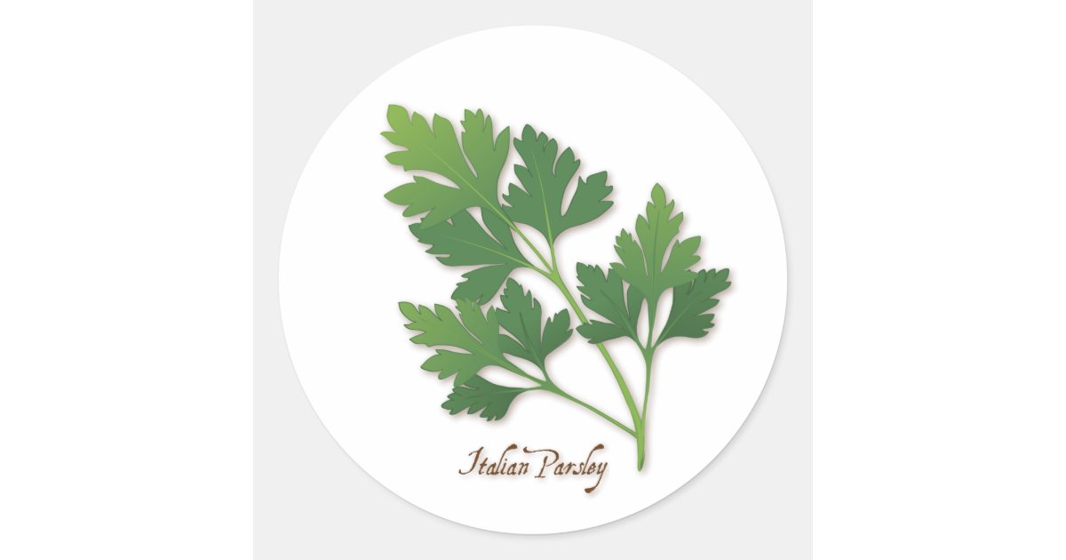 Italian Parsley Round Sticker | Zazzle