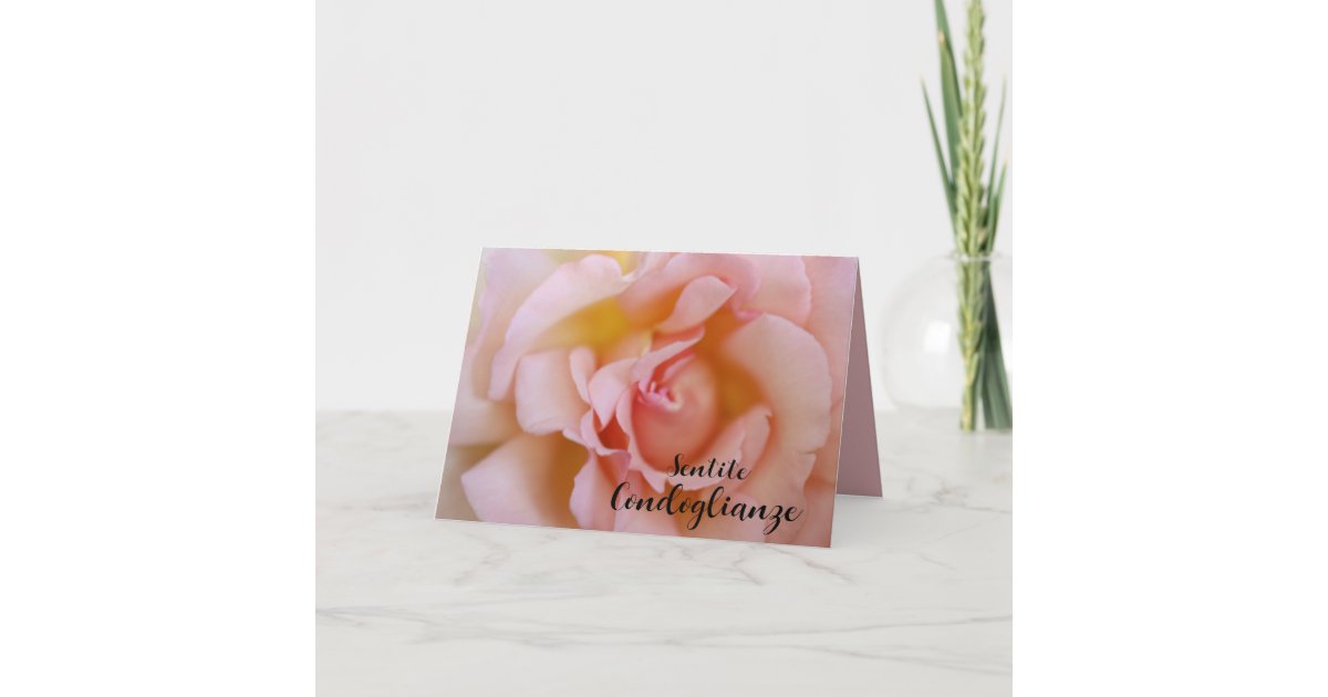 Italian Sympathy Pink Rose Card | Zazzle