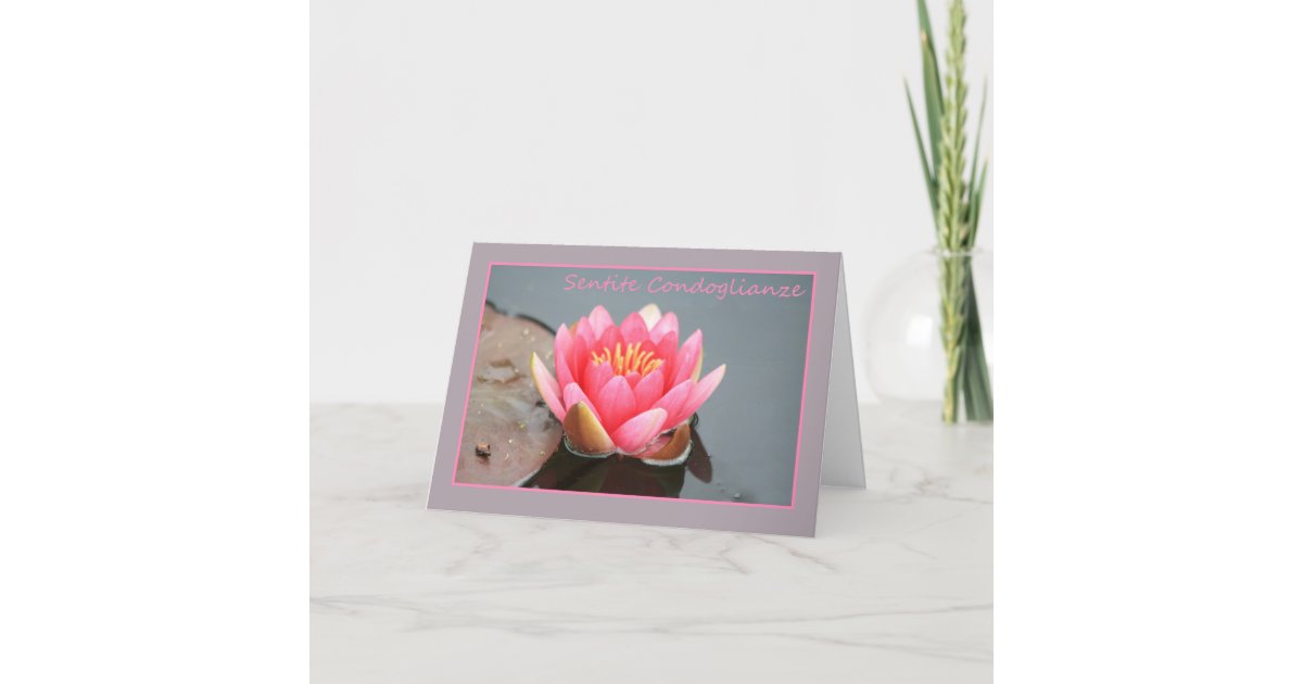Italian Sympathy Pink water lily Card | Zazzle