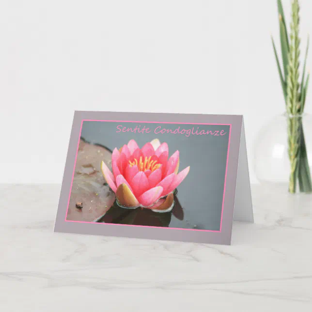 Italian Sympathy Pink water lily Card | Zazzle