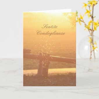 Italian Sympathy Sunlight Mosquito Card | Zazzle