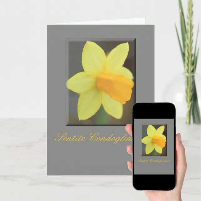 Italian Sympathy Yellow Daffodil Card | Zazzle