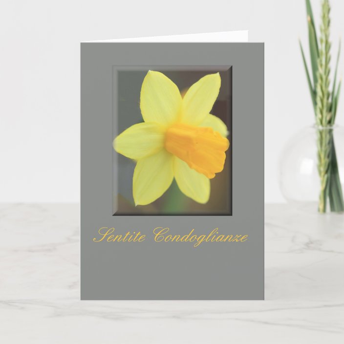 Italian Sympathy Yellow Daffodil Card | Zazzle.com