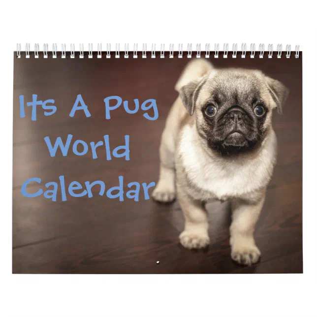 It's A Pug Calendar | Zazzle
