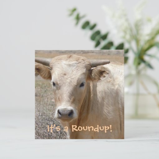 It's a Roundup! Cattle - Western Style Celebration Invitation | Zazzle