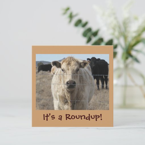 It's a Roundup! Cows - Cattle Drive Celebration Invitation | Zazzle