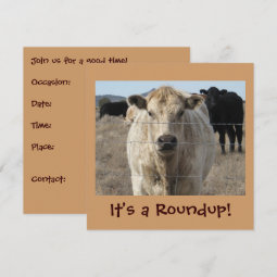 It's a Roundup! Cows - Cattle Drive Celebration Invitation | Zazzle