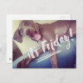 It's Friday! Postcard | Zazzle