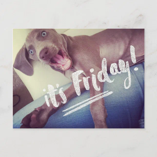 It's Friday! Postcard | Zazzle
